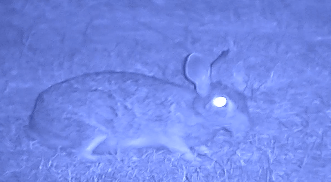 NVx7 Digital Night Sight – SFT2 Tactical
