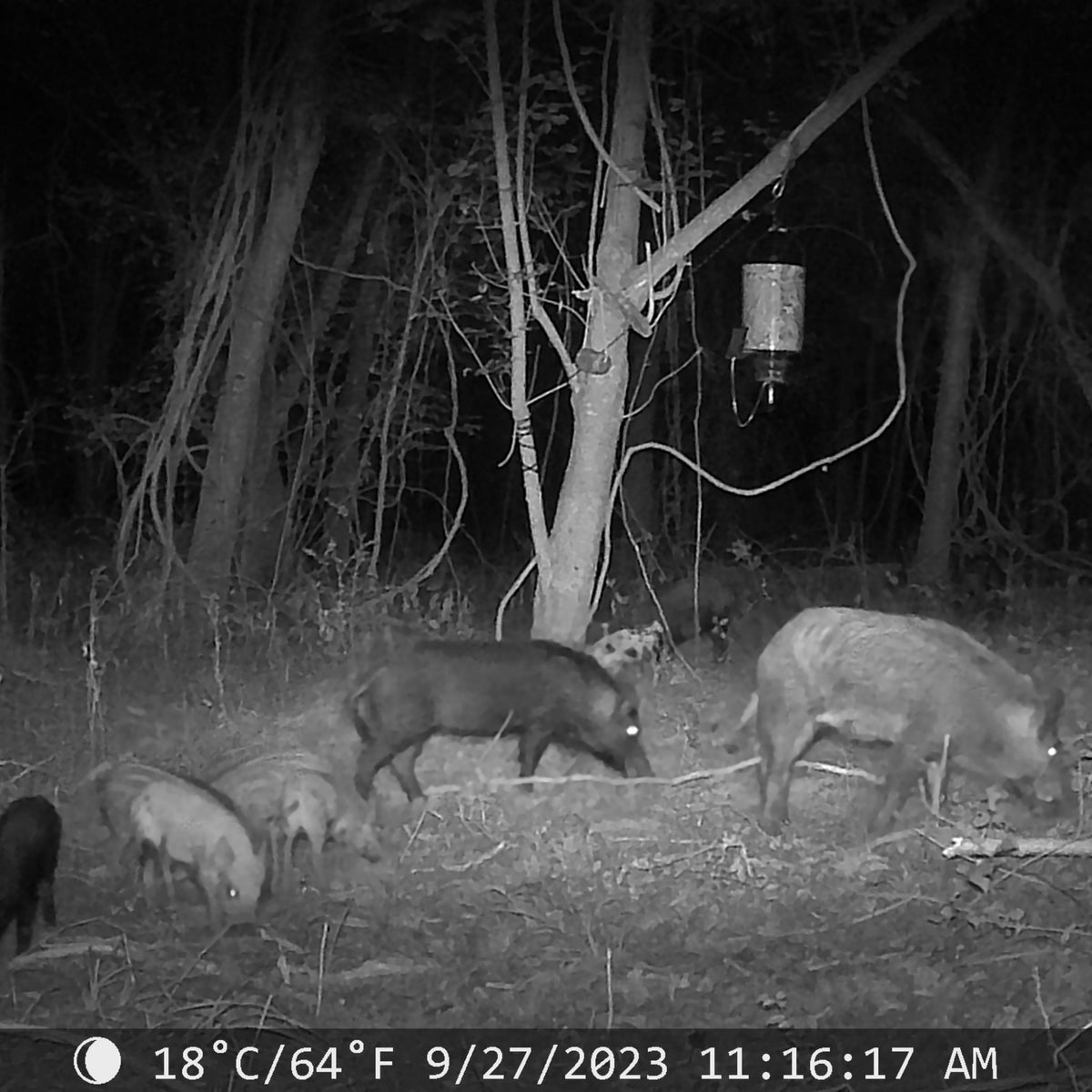 Sentinel Night Vision Trail Camera – SFT2 Tactical