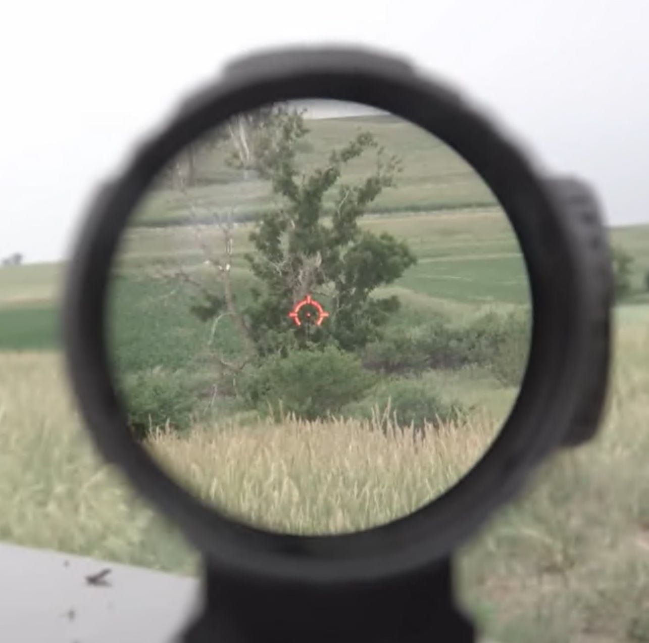 SHIPS FROM TEXAS AND/OR CALIFORNIA, U.S.A.